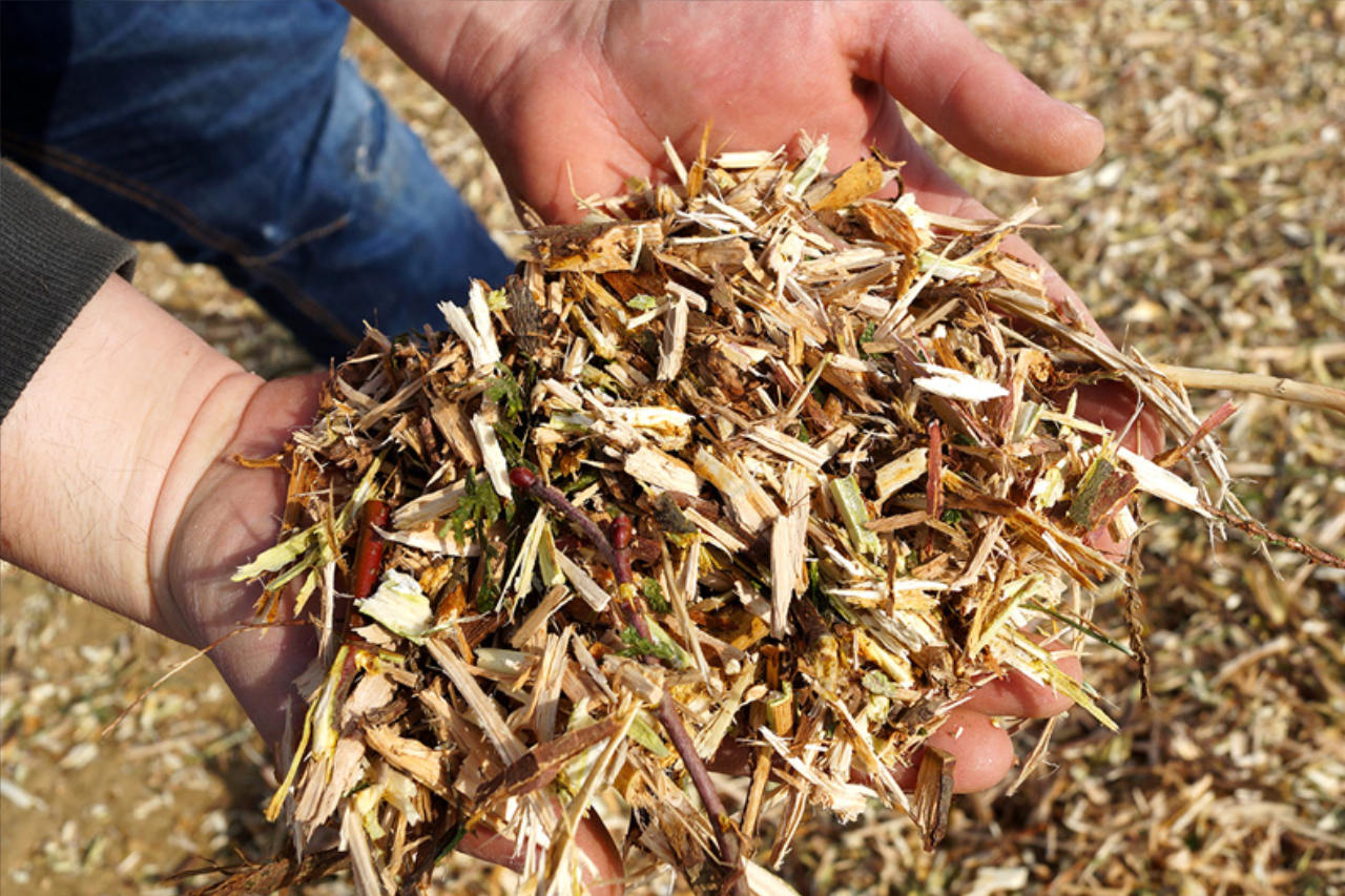 Un service gratuit de broyage de végétaux à domicile – Ville de PALAVAS ...